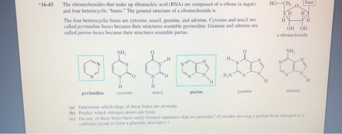 Solved 8-68 (a) Simple aminoacetals hydrolyze quickly and | Chegg.com