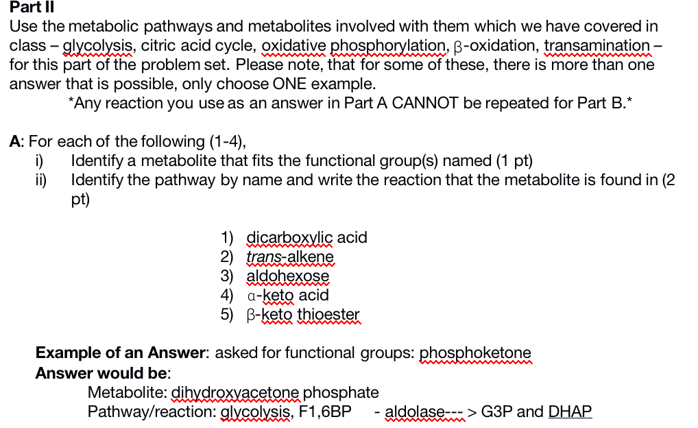 Solved Part II Use the metabolic pathways and metabolites | Chegg.com