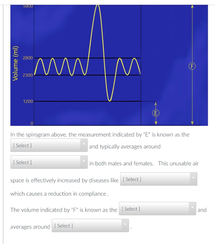 Solved 5800 2800 EmWM m 2300 1200 E 0 In the spirogram | Chegg.com
