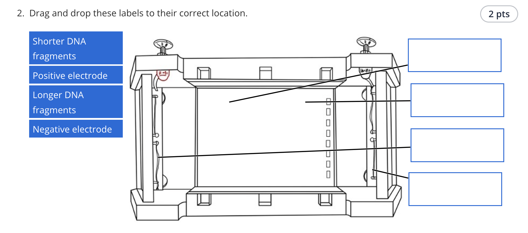 Solved 2. ﻿Drag and drop these labels to their correct | Chegg.com