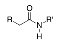 Solved Use resonance structures to explain why the amide | Chegg.com