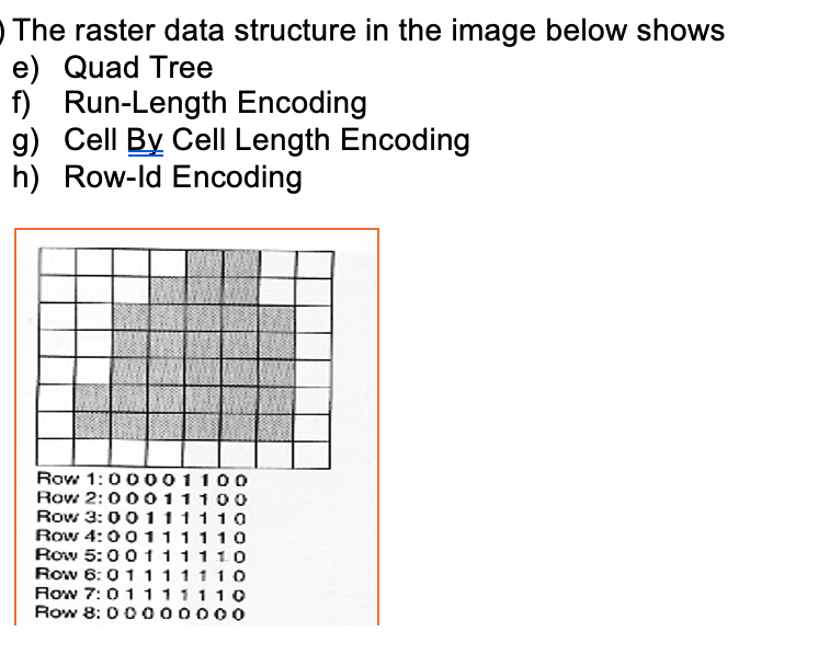 Solved The raster data structure in the image below shows e) | Chegg.com