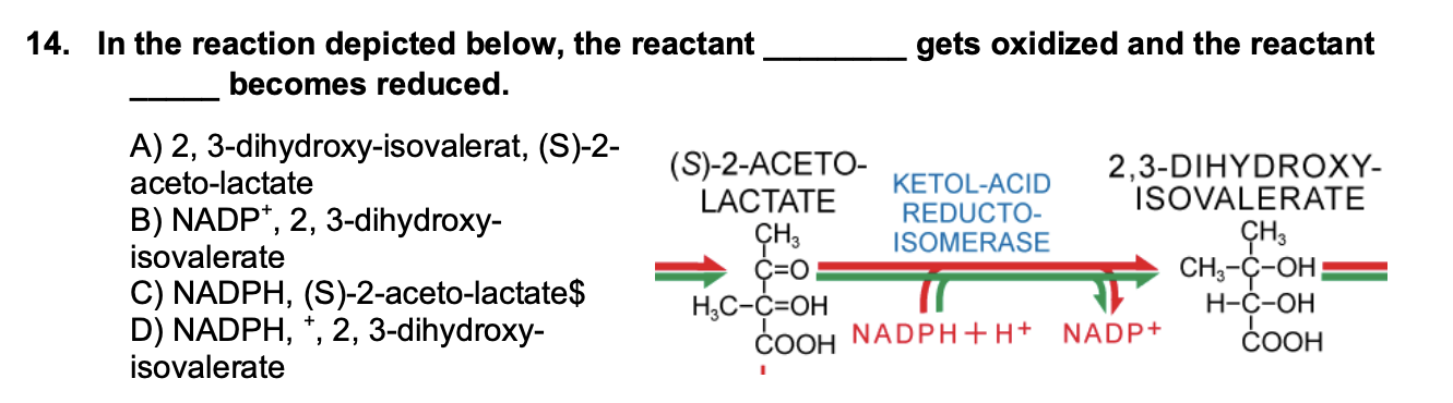 Solved 14. In the reaction depicted below, the reactant | Chegg.com