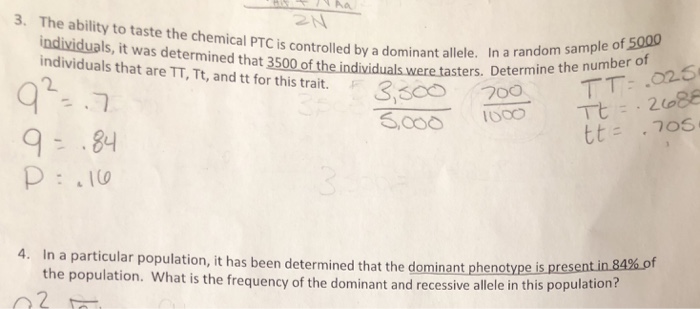 Solved The ability to taste the chemical PTC is controlled | Chegg.com