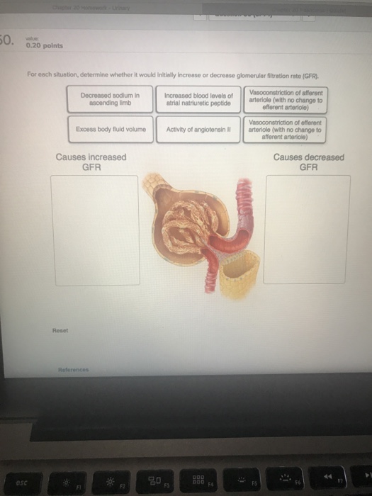 Solved value 0.20 points For each situation, determine | Chegg.com