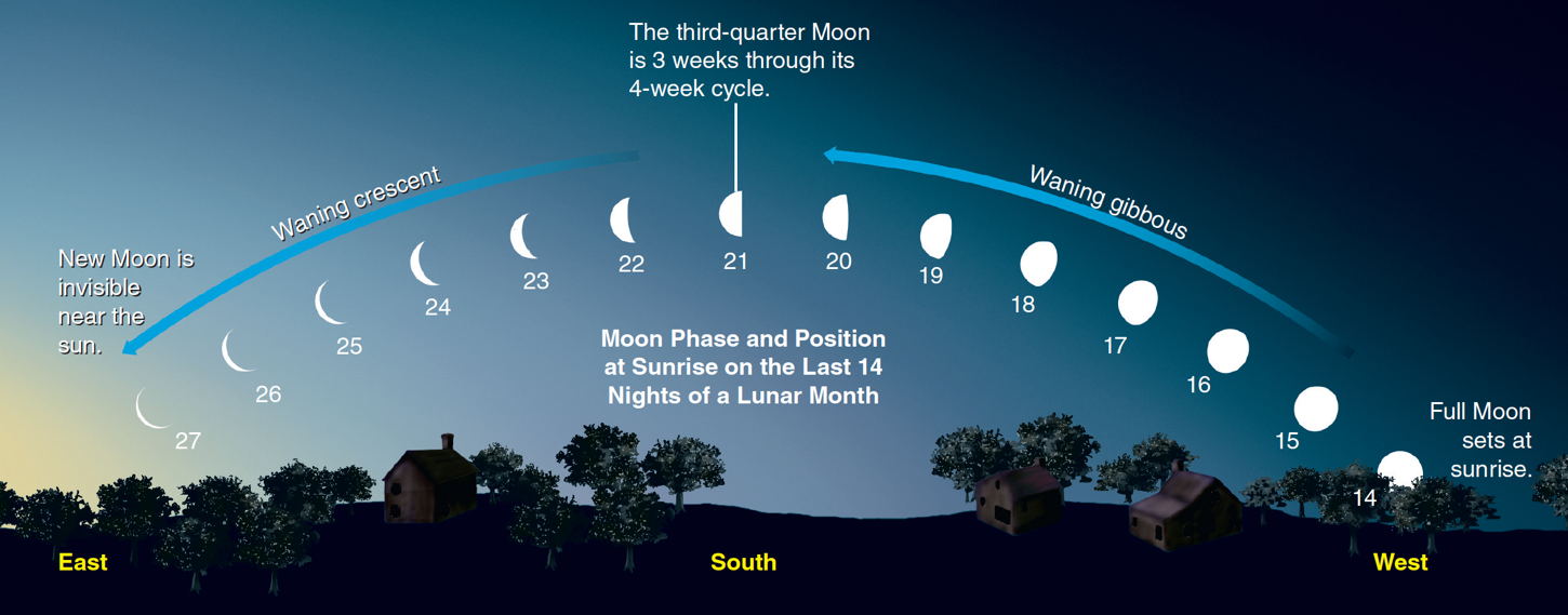 Solved 1/ In this image, the third quarter moon is at its | Chegg.com