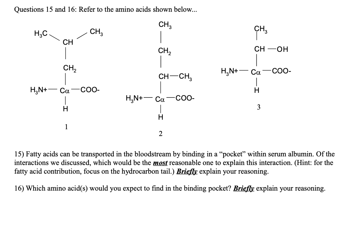 Solved Questions 15 and 16: Refer to the amino acids shown | Chegg.com