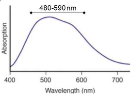 Solved Absorption spectrum of the complete | Chegg.com