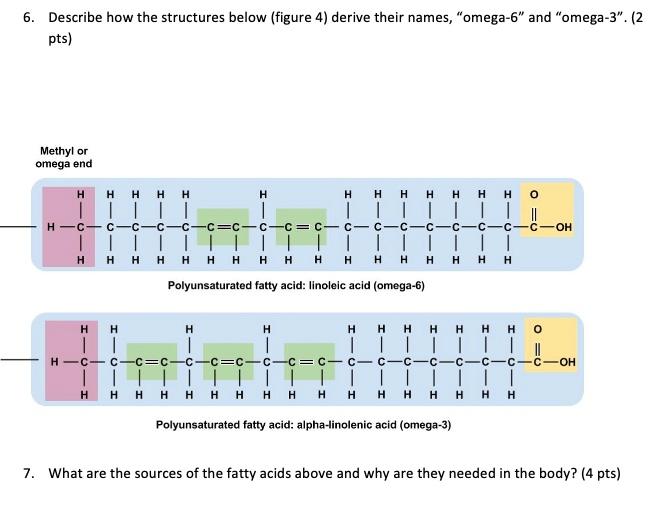 Solved 6. Describe how the structures below (figure 4) | Chegg.com