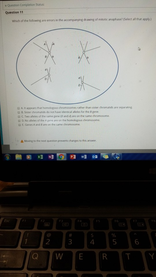 Solved v Question Completion Status: Question 11 Which of | Chegg.com