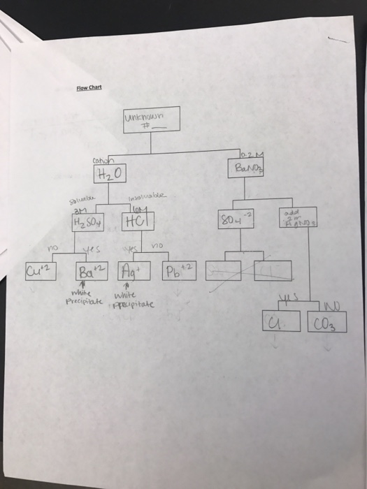 Solved Unknown identification sheet Unknown Anion Solution: | Chegg.com