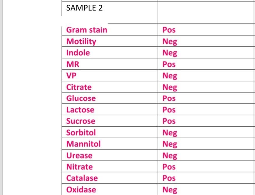 SAMPLE 2 Pos Neg Neg Pos Neg Neg Pos Gram stain | Chegg.com
