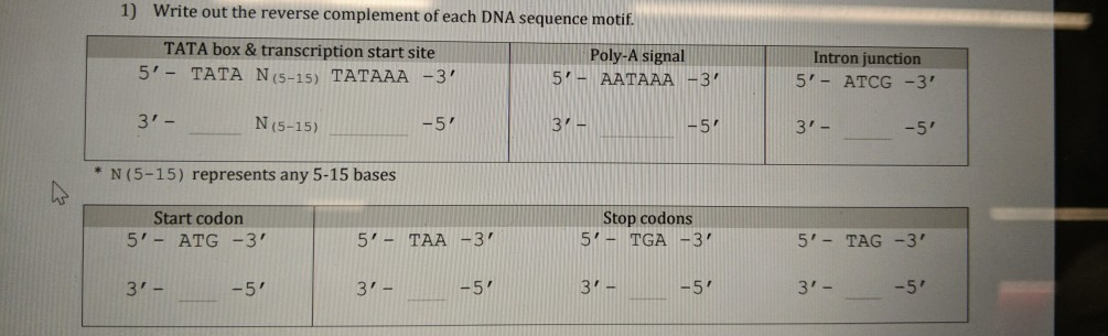 Solved 1) Write out the reverse complement of each DNA | Chegg.com