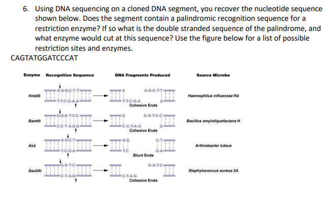 Solved 6. Using DNA sequencing on a cloned DNA segment, you | Chegg.com