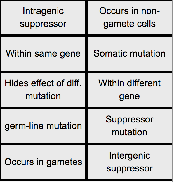 Solved Beneficial mutation Decreases fitness Results in | Chegg.com