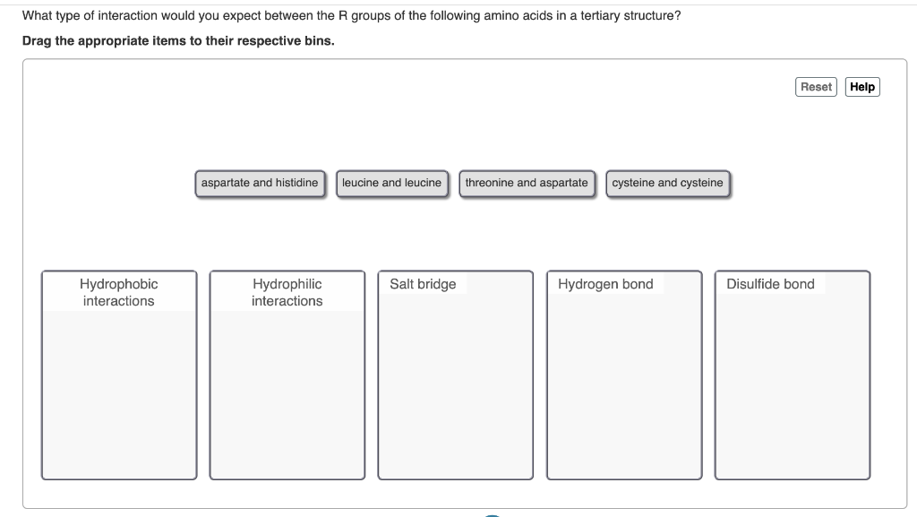 Solved What type of interaction would you expect between the | Chegg.com