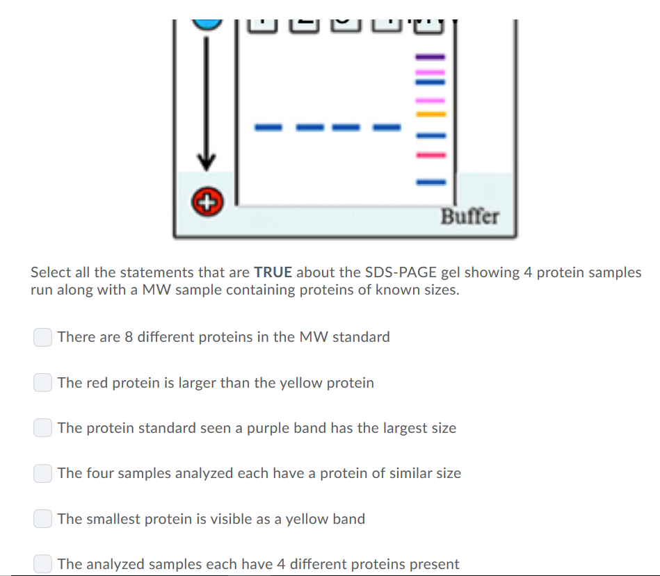 Solved Buffer Select all the statements that are TRUE about | Chegg.com