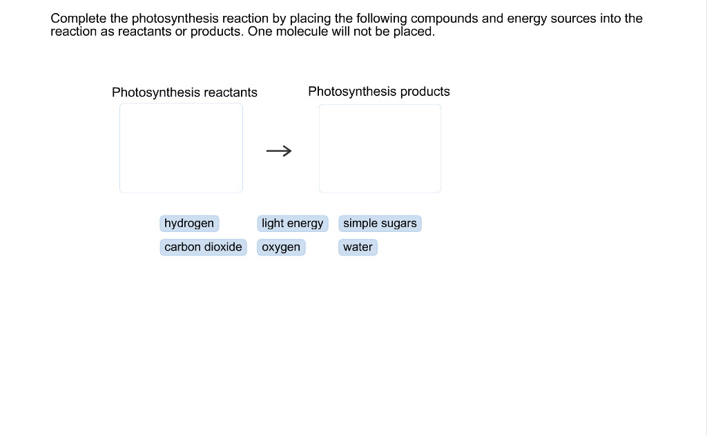 Photosynthesis Reactants And Products