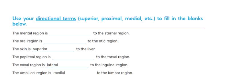 Solved Fill in the blank word box: proximal, superior, | Chegg.com