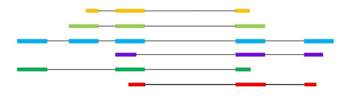 Solved 1. Based on the image above, what is the minimum | Chegg.com