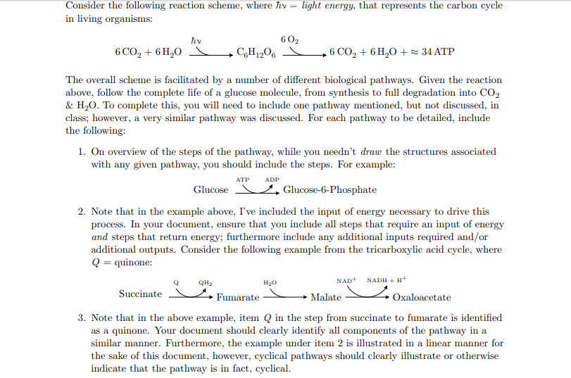 Solved Consider the following reaction scheme, where hv = | Chegg.com