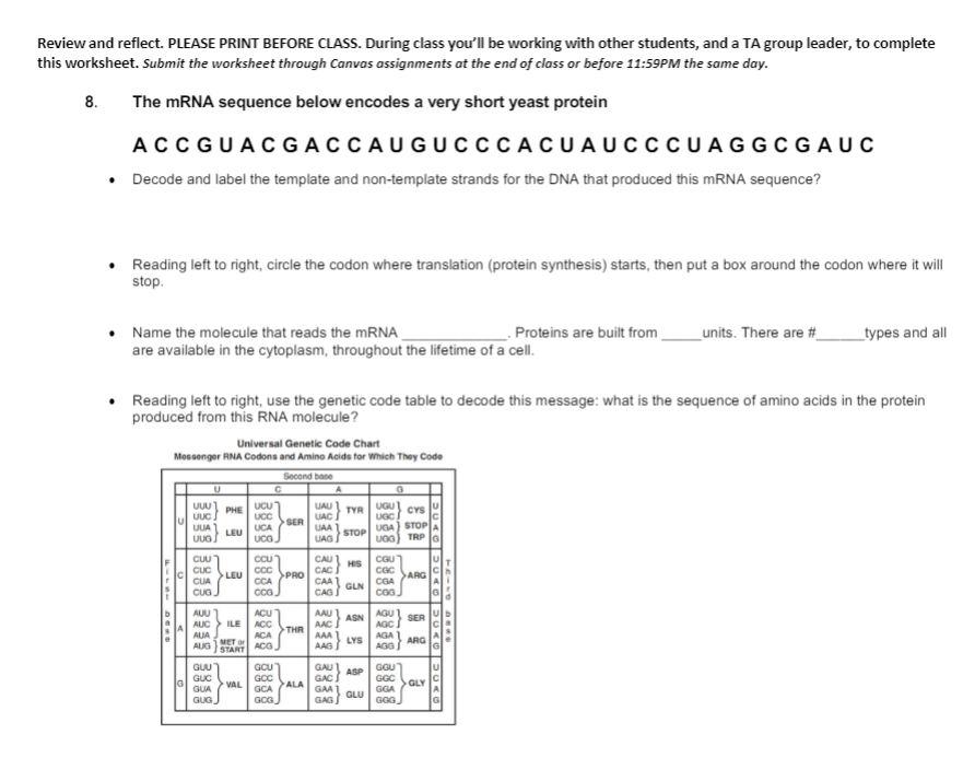 Solved Review and reflect. PLEASE PRINT BEFORE CLASS. During | Chegg.com