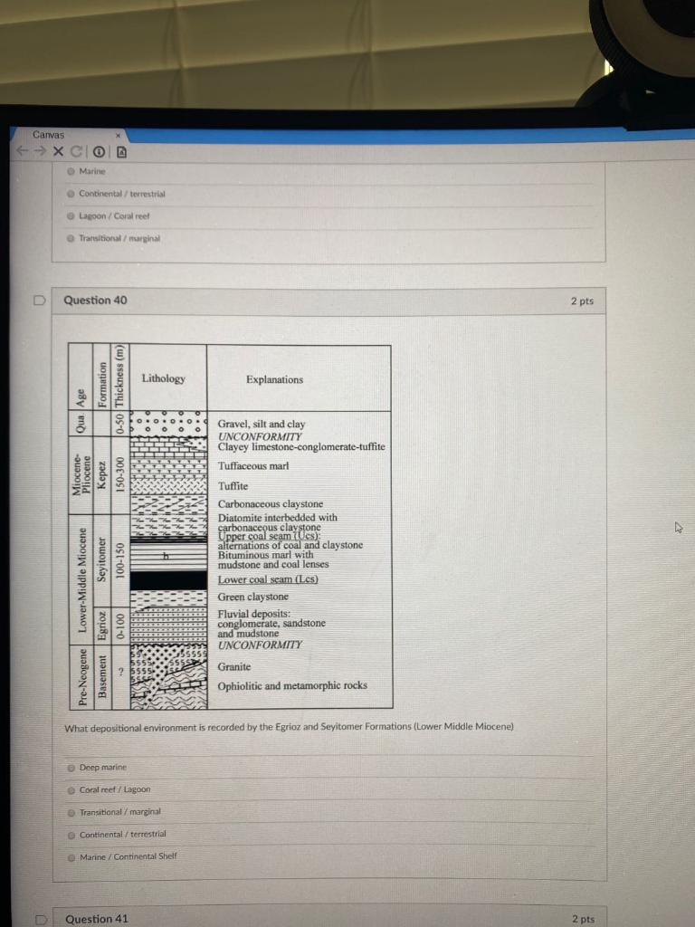 Canvas > X N Mud cracks Ripple marks Cross bedding | Chegg.com