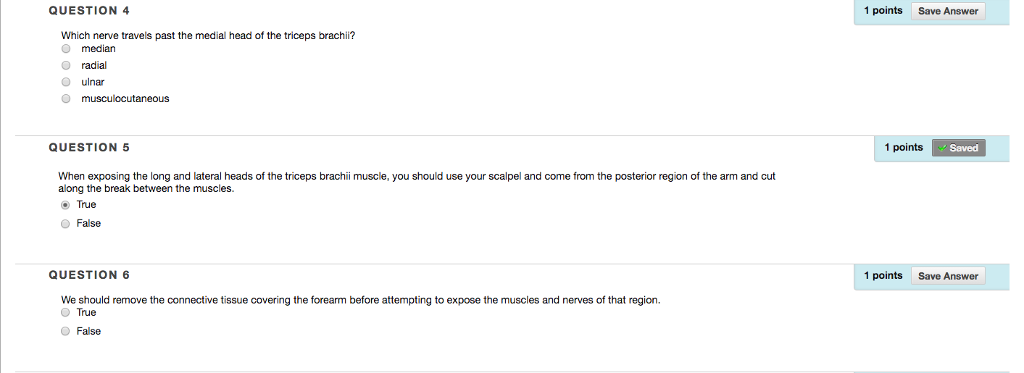 Solved QUESTION 4 1 points Save Answer Which nerve travels | Chegg.com Solved QUESTION 4 1 points Save Answer Which nerve travels | Chegg.com