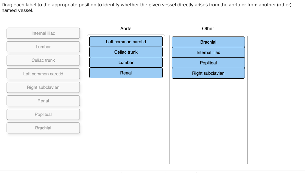 Solved Drag each label to the appropriate position to | Chegg.com