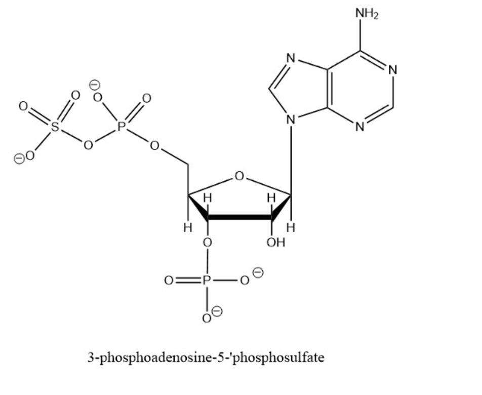 Solved A post-translational modification of proteins | Chegg.com