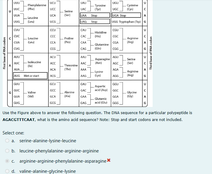 Solved Can someone please answer this question. | Chegg.com