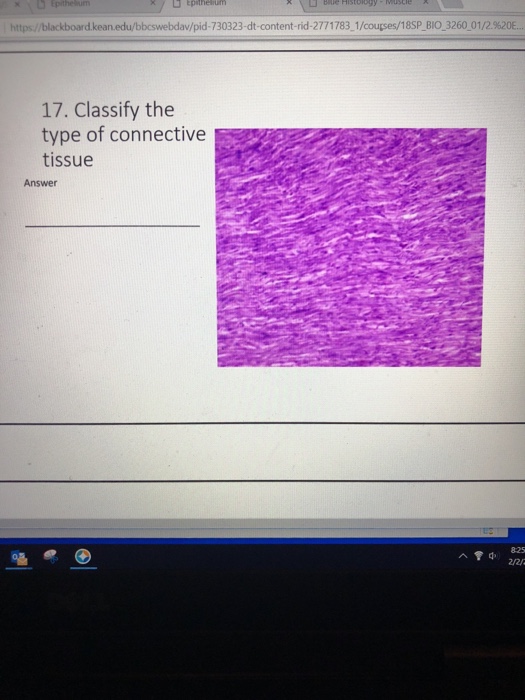 Solved https blackboard keanedu/bbcswebdav/pid-730323 dt | Chegg.com