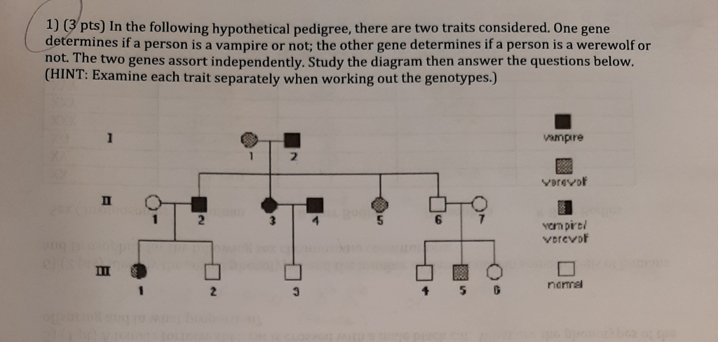 Solved 1a.) Is being a vampire due to a dominant or | Chegg.com