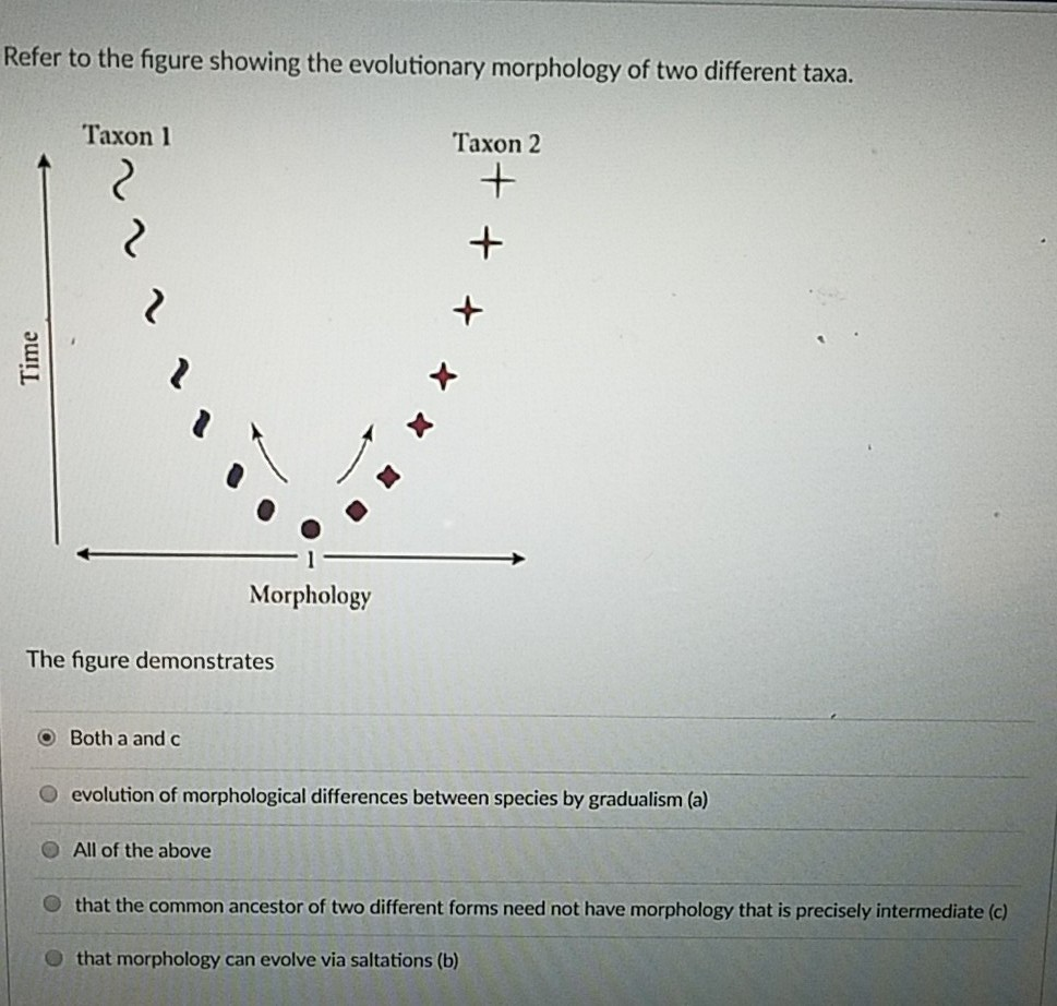 Solved Refer to the figure showing the evolutionary | Chegg.com