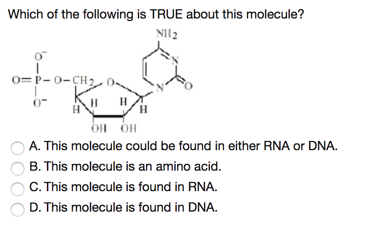Solved Which of the following is TRUE about this molecule? | Chegg.com