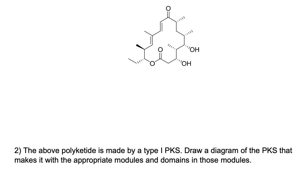 Solved "ОН ''ОН 2) The above polyketide is made by a type I | Chegg.com