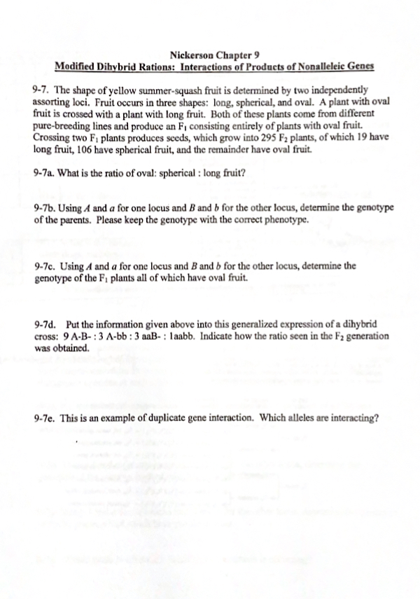 Solved Nickerson Chapter 9 Modified Dihybrid Rations: | Chegg.com