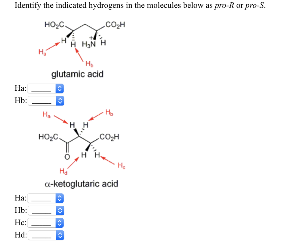 Solved Identify the indicated hydrogens in the molecules | Chegg.com