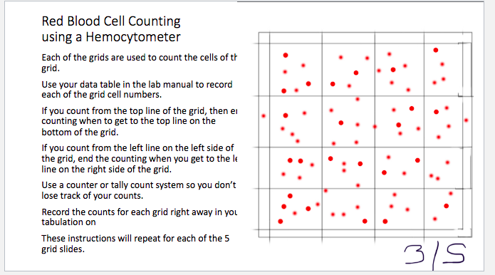 Solved Red Blood Cell Counting using a Hemocytometer Each of | Chegg.com