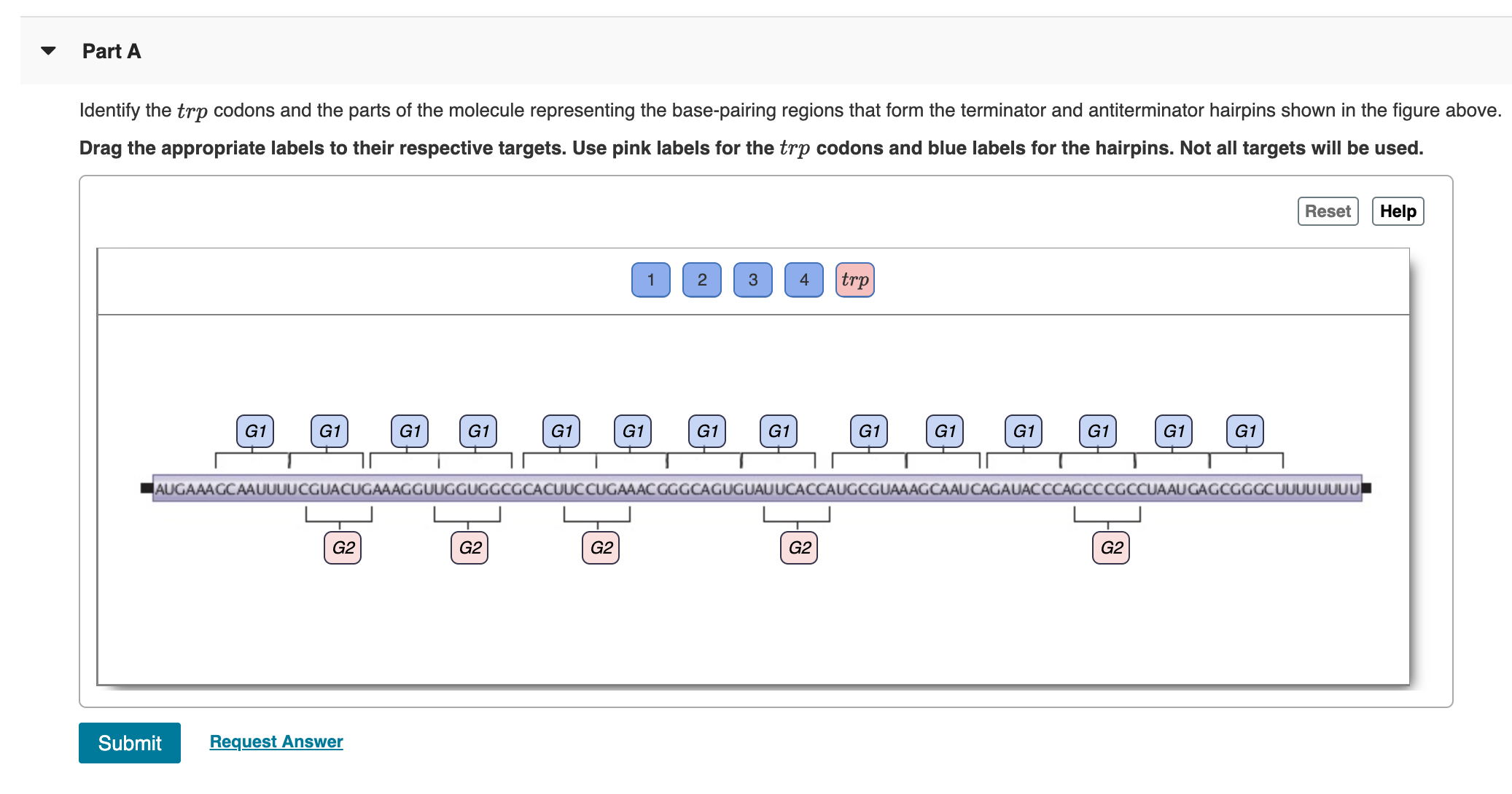 Part A Identify the trp codons and the parts of the | Chegg.com