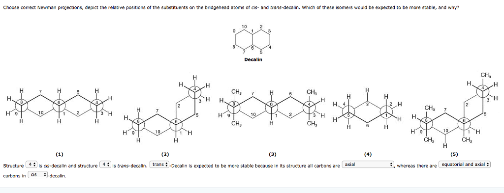 Solved Choose correct Newman projections, depict the | Chegg.com