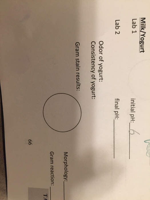 Solved Milk/Yogurt Lab 1 initial pH: _______ Lab 2 final | Chegg.com