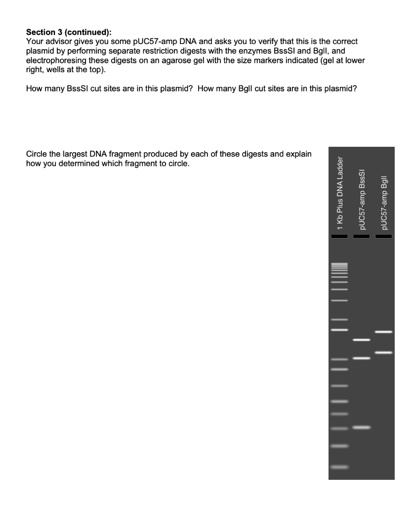 Solved Section 3 Continued Your Advisor Gives You Some