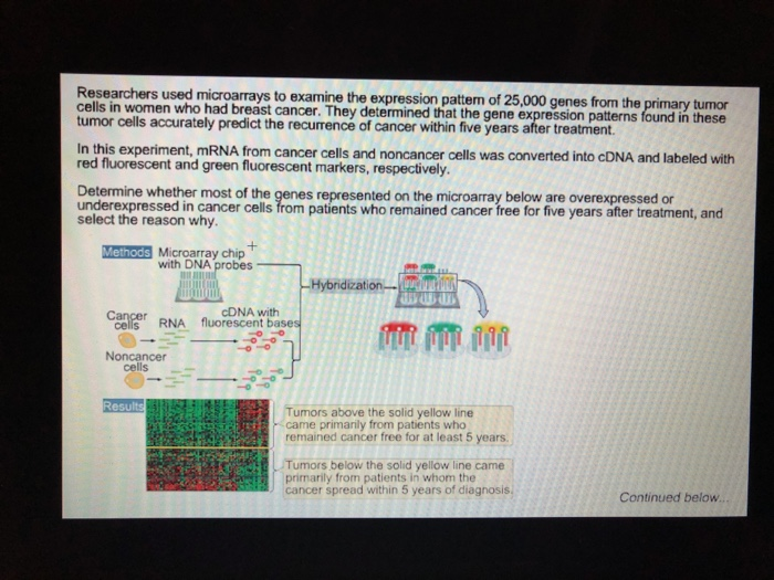 Solved Researchers used microarrays to examine the | Chegg.com