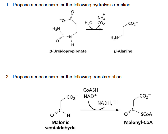 Solved 1. Propose a mechanism for the following hydrolysis | Chegg.com