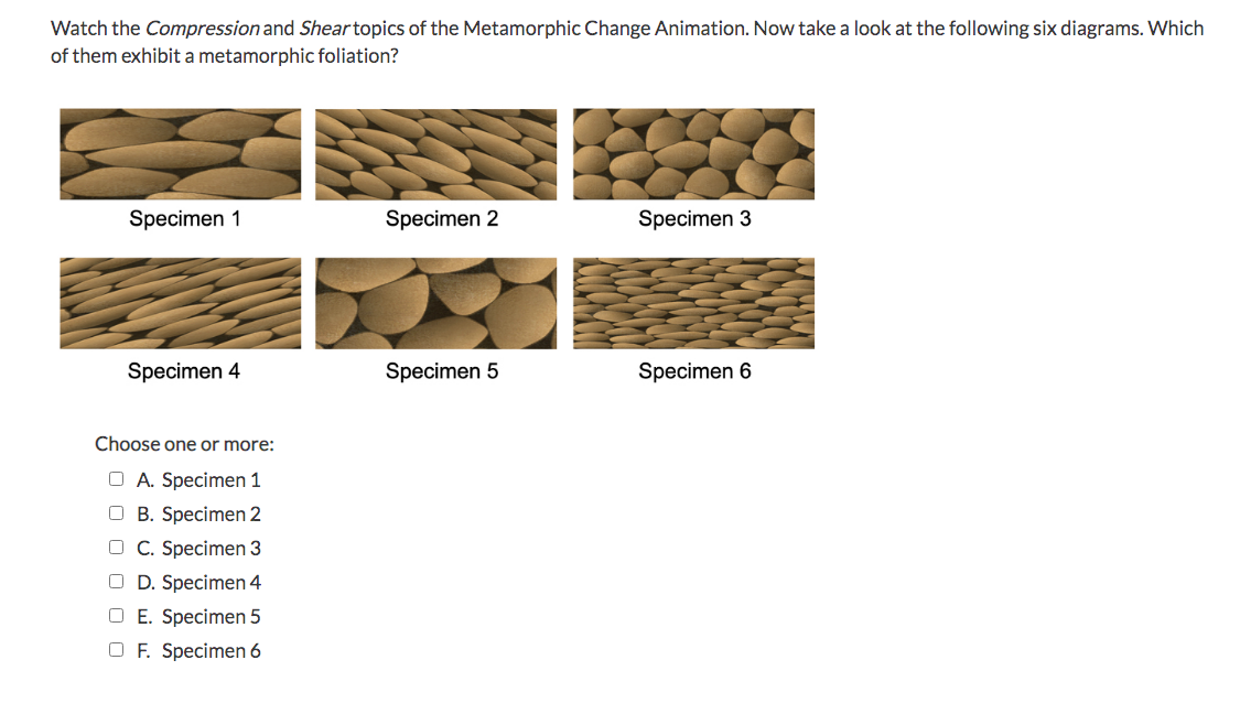 Solved Watch the Compression and Shear topics of the | Chegg.com