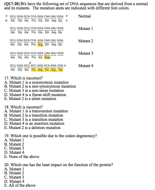 Solved (Q17-20) We have the following set of DNA sequences | Chegg.com