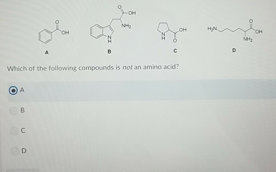 Solved OH NH2 H2N OH OH NH2 Which of the following compounds | Chegg.com