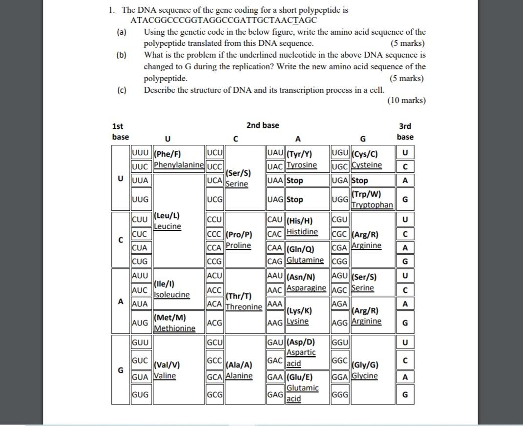 Solved 1. The DNA sequence of the gene coding for a short | Chegg.com