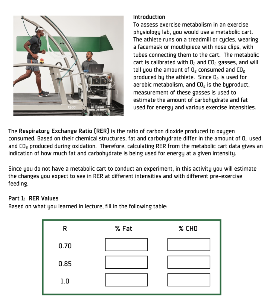 Solved Introduction To assess exercise metabolism in an | Chegg.com
